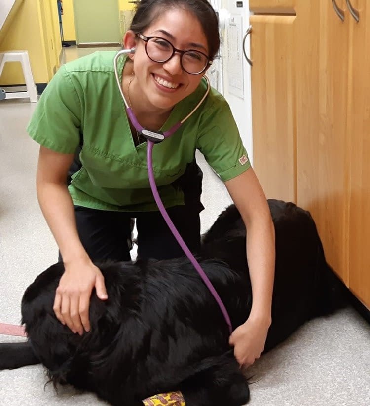 Hart Family Veterinary ClinicExaminations - Hart Family Veterinary Clinic